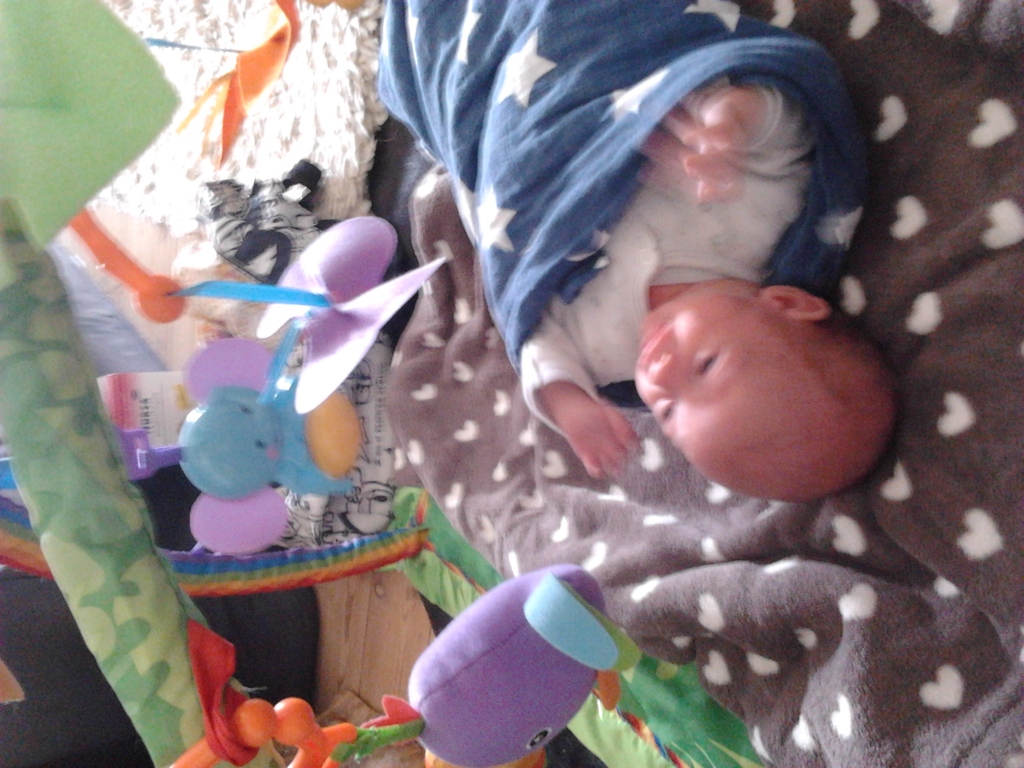 Famille Mager Van Aken