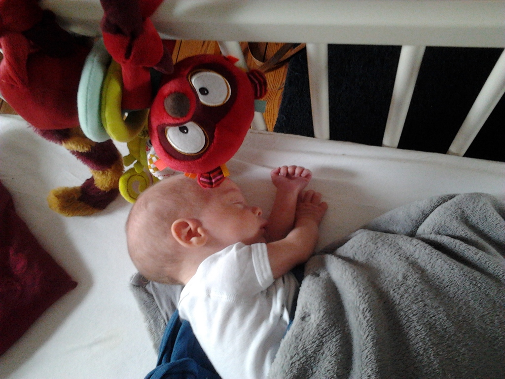 Famille Mager Van Aken